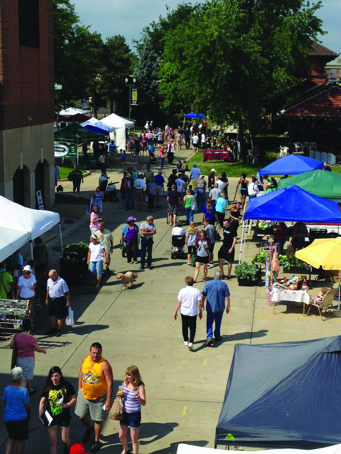 RF - HISRA | Heart of Illinois Special Recreation Association